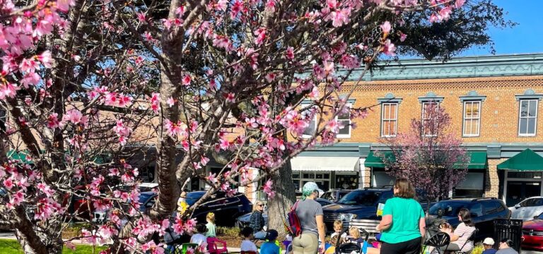 Spring Has Sprung Early? - Main Street Reads